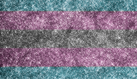 Trans Boot Camp – The JEDI Advocacy Council of Greeley